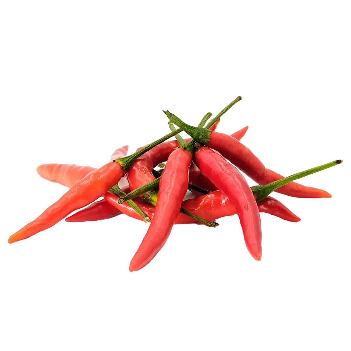 Chili plants "Thai Dragon"