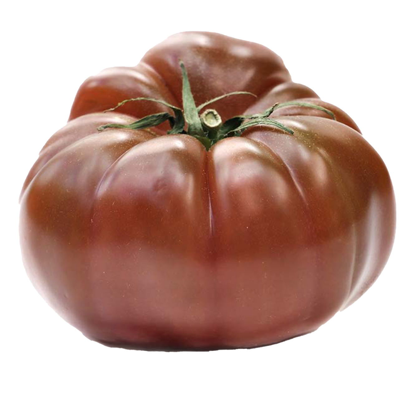 Tomato plants "Chernij Prinz"